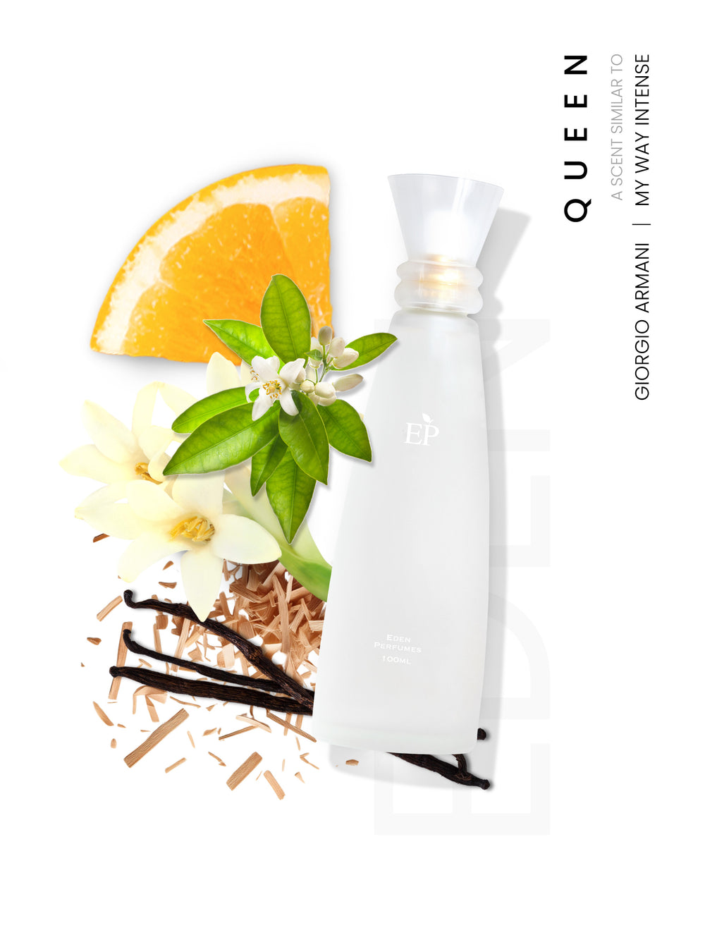 Our Top 10 Ladies and Mens Perfumes